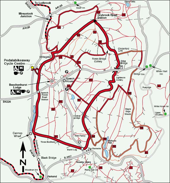 Riding the Old Rails in the Forest of Dean